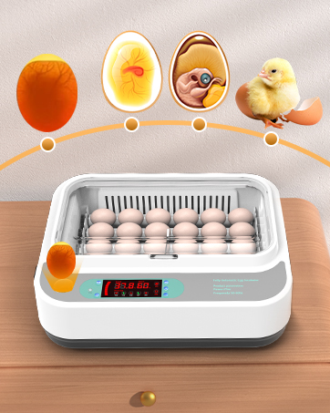 Amazon.com: HerCcreta wigge 24 Eggs Incubators for Hatching Eggs with Automatic Egg Turning, 4 ...