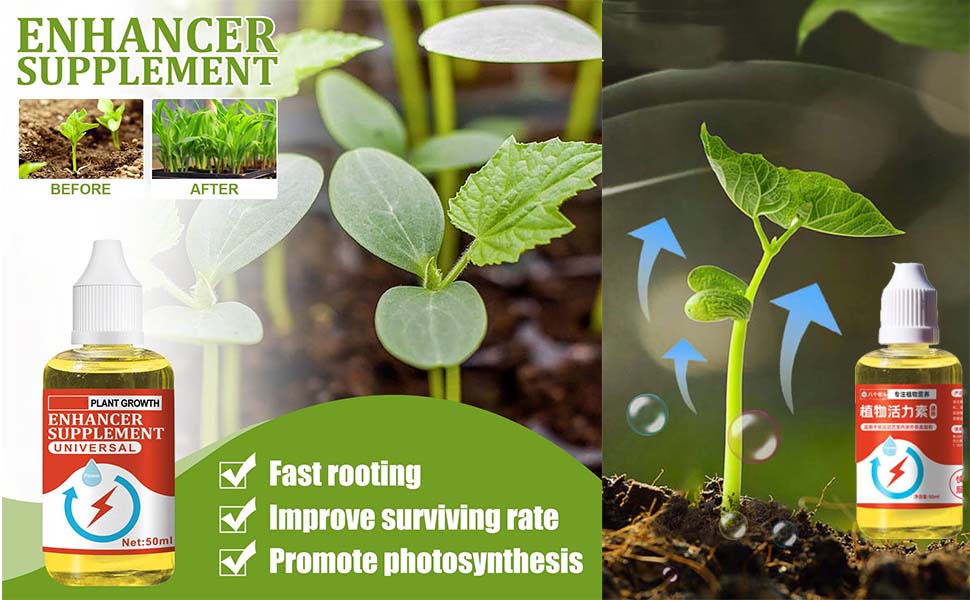 Amazon.com : Plant Growth Enhancer Supplement, Plant Growth Enhancer, Upgraded Take Root Rooting ...
