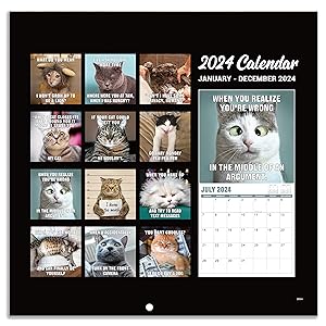 Calendario de pared 2026 – enero 2026 – diciembre 2026, calendario divertido para gatos 2026 ...