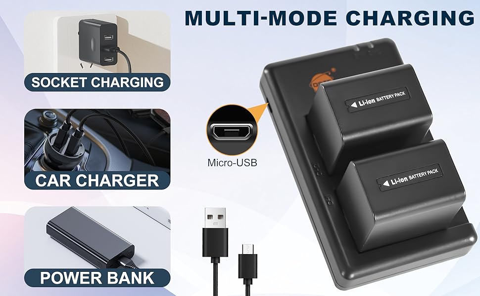 Amazon.com: DSTE 2-Pack NP-FV70 Battery + Rapid Dual Charger Compatible with Sony FDR-AX700 PXW ...