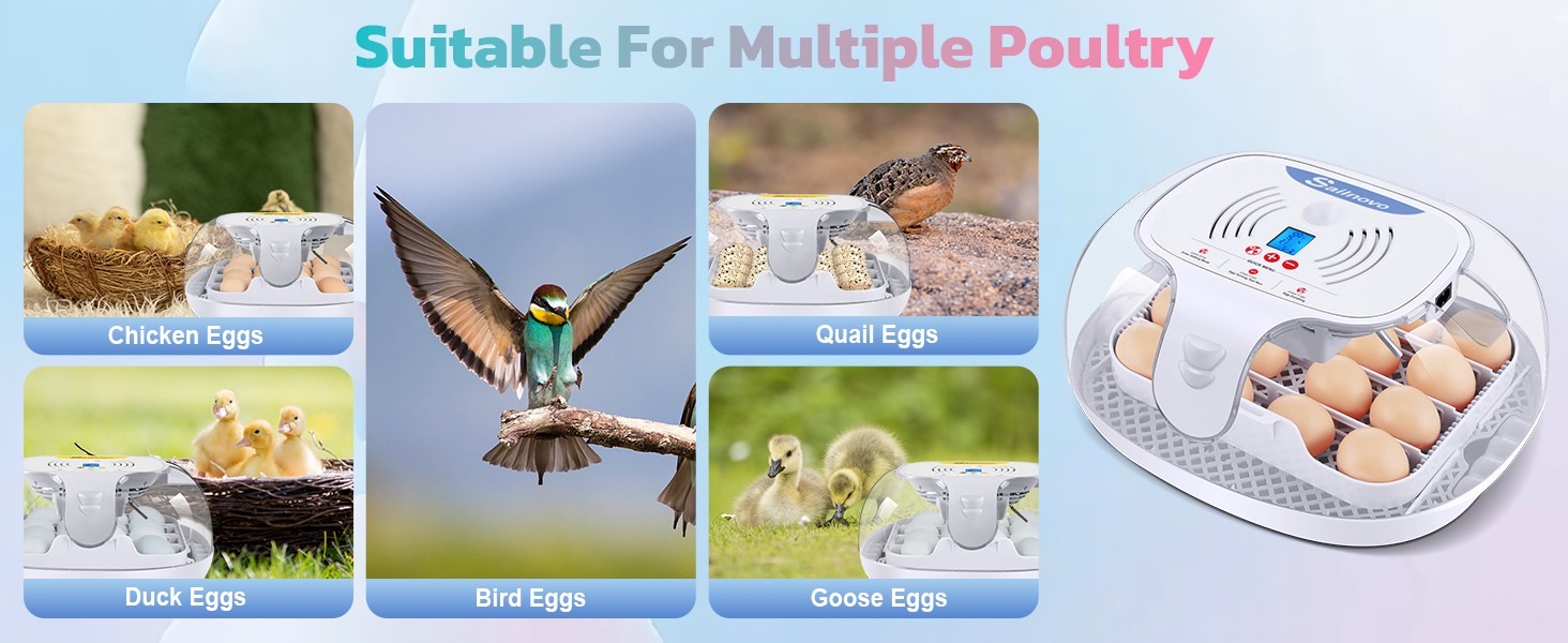 Amazon.com : Sailnovo Egg Incubator for Hatching Chicks, 16-35 Eggs Incubator with Automatic ...