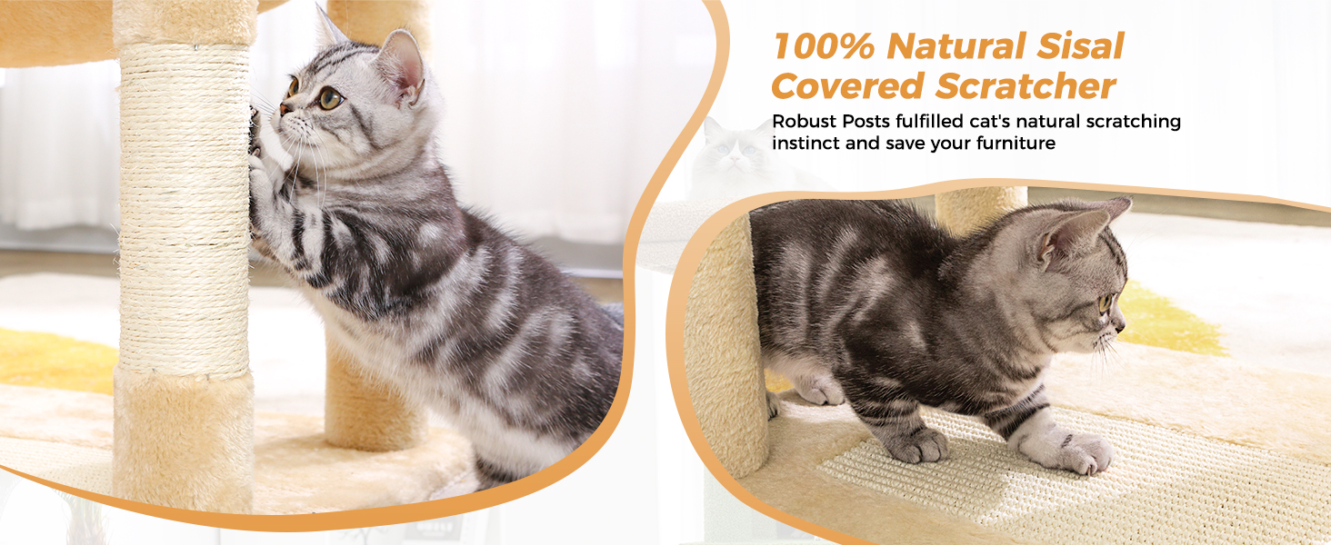 Amazon.com : Meow Sir Large Cat Tree 70 Inches Tall - Cat Tower With 21.7x17.7 Inches Hammock ...