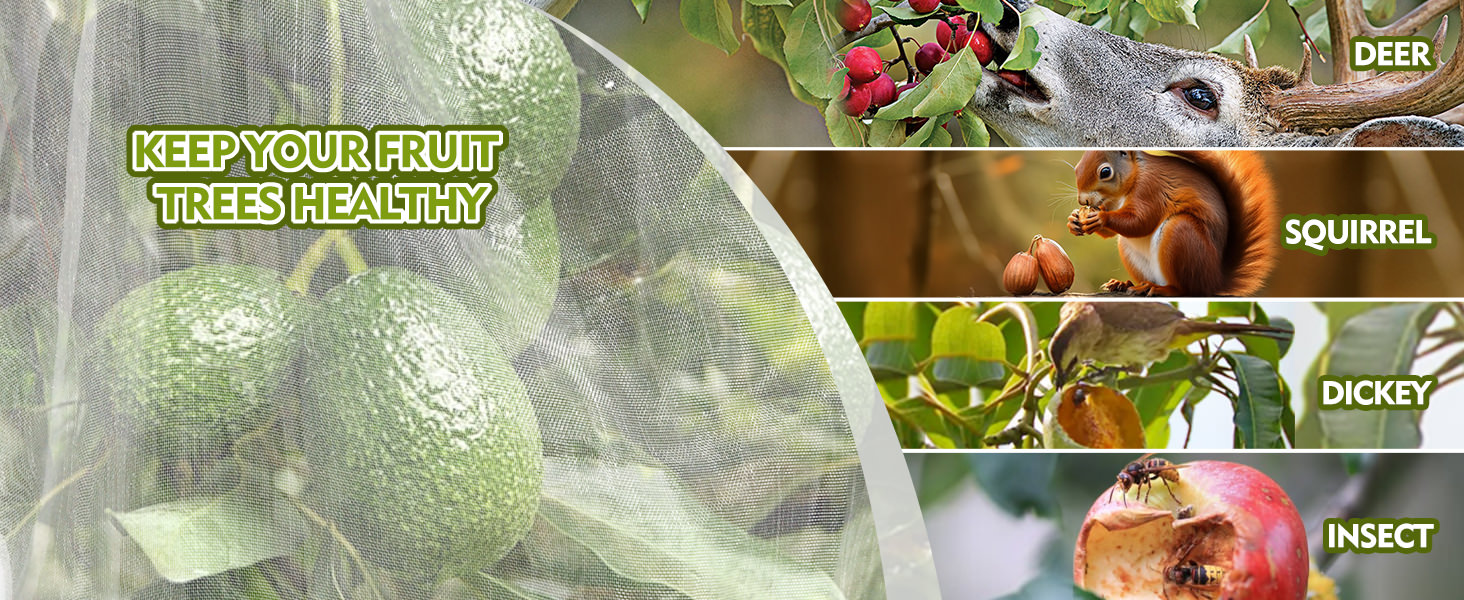 Amazon.com : 10x10Ft Large Fruit Tree Netting Cover with Zipper, Garden Netting Pest Barrier ...