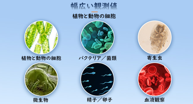 Amazon.co.jp: Misoterm 複合型双眼顕微鏡 40X～2000倍 デュアルLED照明顕微鏡 XY軸ローディングステージ 移動式ノギス 学生・社会人向け実体顕微鏡 : おもちゃ