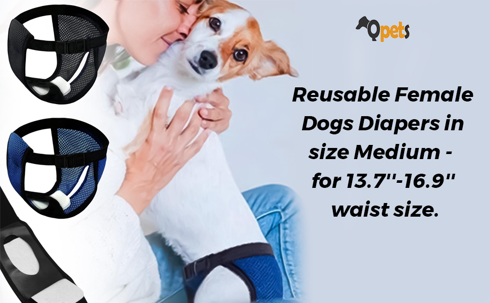 Buy Qpets® Pet Use Breathable Reusable Female Dogs Diapers with 3 Absorbption Cotton Pad Comfort ...