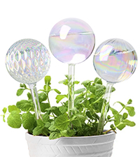Amazon.com: KiKiHeim Plant Watering Globes Self Watering Planter Insert Glass Spikes, Hand Blown ...