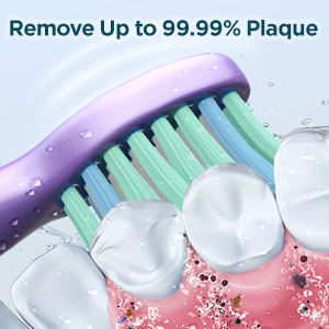 Amazon.com: Rechargeable Electric Toothbrush for Adults and Teens - Sonic Electric Toothbrushes ...