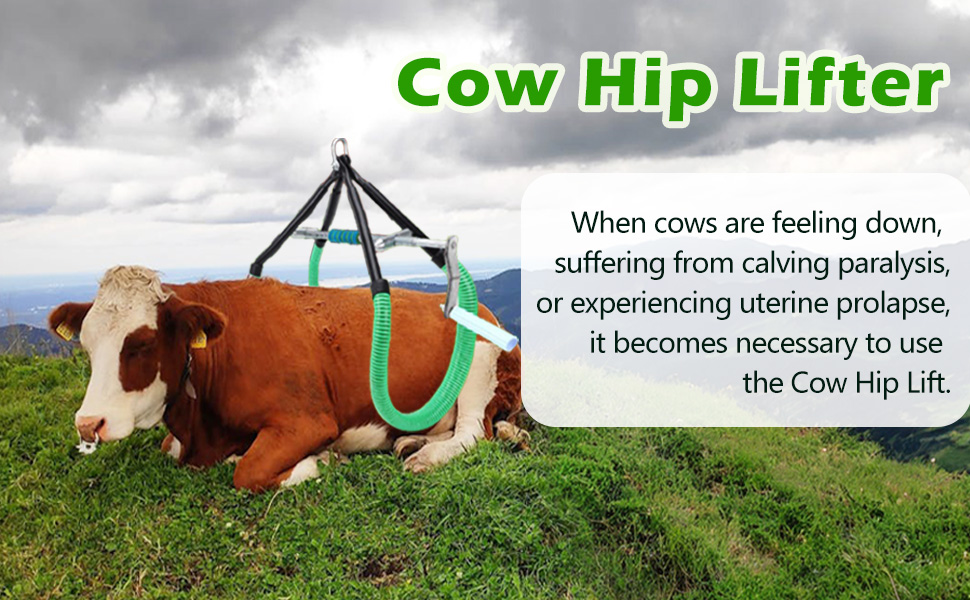 Amazon.com: Cow Hip Lift - Adjustable Cattle Hip Lift Device for Large Livestock, Durable Cow ...