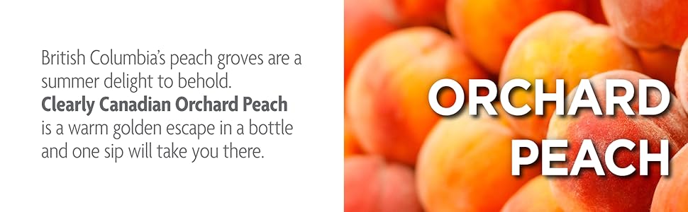 Amazon.com : Clearly Canadian Orchard Peach Sparkling Spring Water Beverage, Natural ...