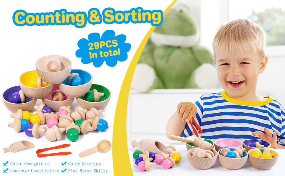 Amazon.com: Biottro Montessori Sorting Toys for Toddlers 3 4 5 Years ...