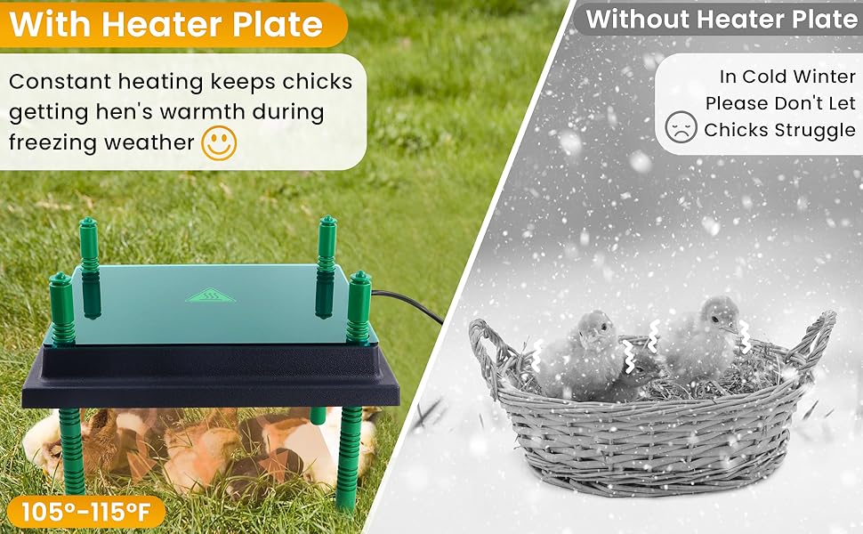 Amazon.com: Chick Brooder Heating Plate, Brooder Heater for Chicks and Ducklings with Adjustable ...