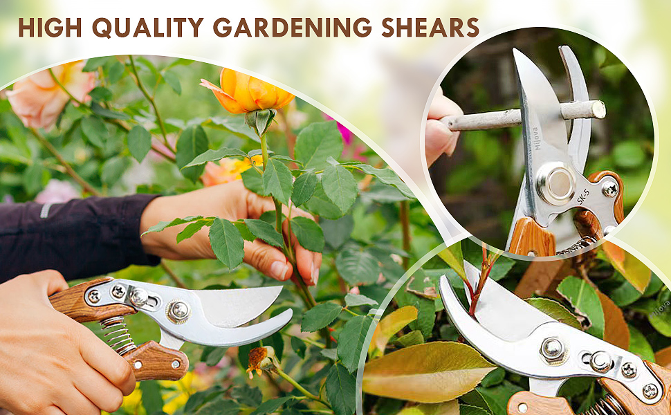 Amazon.com : Garden shears, SK5 stainless steel plant shears, sharp garden shears, For pruning ...