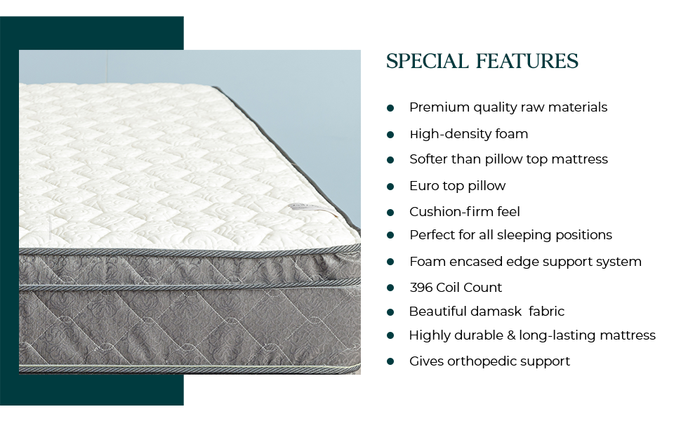 Amazon.com: Greaton 10 Inch Foam Encased Mattress with Eurotop, Comfy, and Soft Plush Mattresses ...