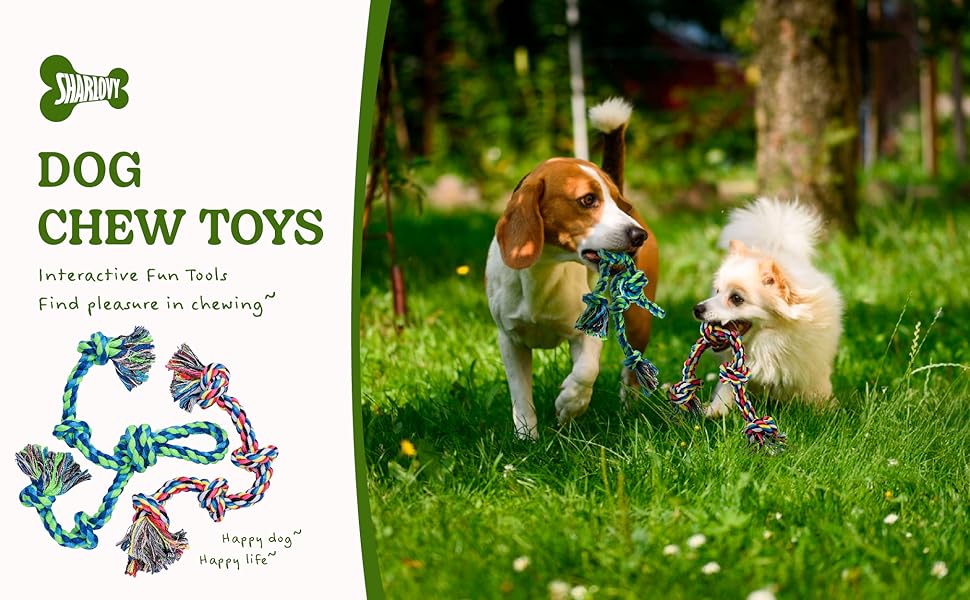 Amazon.com : 2 Pack Dog Rope Toy for Small Dogs, Puppy Teething Toys ...