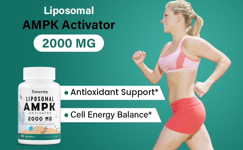 Amazon.com: Liposomal AMPK Activator 2000 mg - High Bioavailability Berberine HCL,DIM,Milk ...