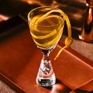 Tiny Cocktails: The Art of Miniature Mixology: A Cocktail Recipe Book: Zielinski, Tyler ...