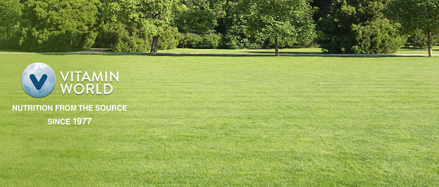 Amazon.com: Vitamin World Triple Strength Joint Mover with Vitamin D Glucosamine Chondroitin MSM ...