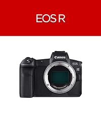 Canon EOS R6 Mark II Full Frame Mirrorless Camera Body Only | 24.2-megapixels, up to 40fps ...