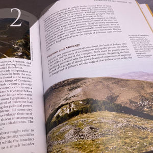 A Survey of the Old Testament Laminated Sheet (Zondervan Get an A ...