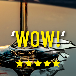 Amazon.com: The Honeymoon: A totally addictive psychological thriller full of shocking twists ...