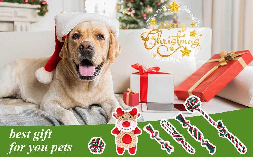 Amazon.com : Pweituoet Christmas Dog Toys, 6 Pack Rope and Plush Toys ...