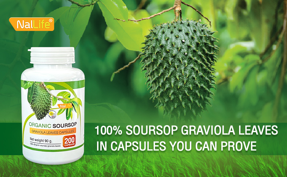 Amazon.com: NalLife Organic Soursop Graviola Leaves 200 Capsules : Health & Household