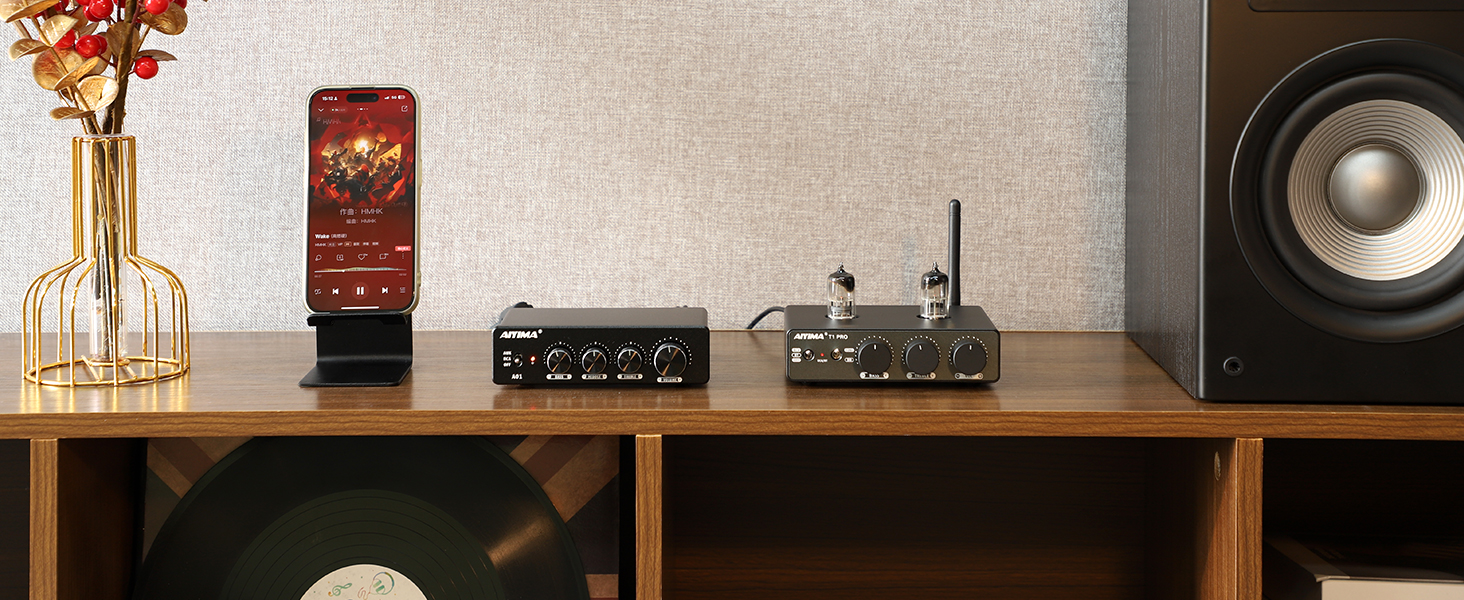 Amazon | AIYIMA A01 2.0/2.1 チャンネルアンプ 100W*2 パワーアンプ RCA&AUX TPA3116D2*2+NE5532DR*3 クラスD 低音と高音の ...