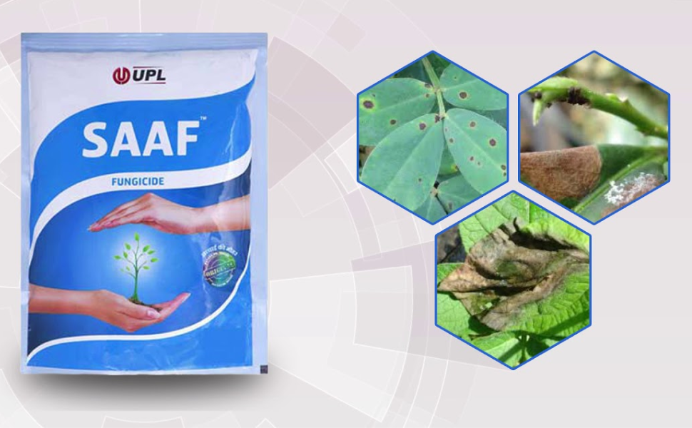 Saaf 100Gm + Organic Dap 350 Gram (Pack Of 2) - Powder : Amazon.in: Garden & Outdoors