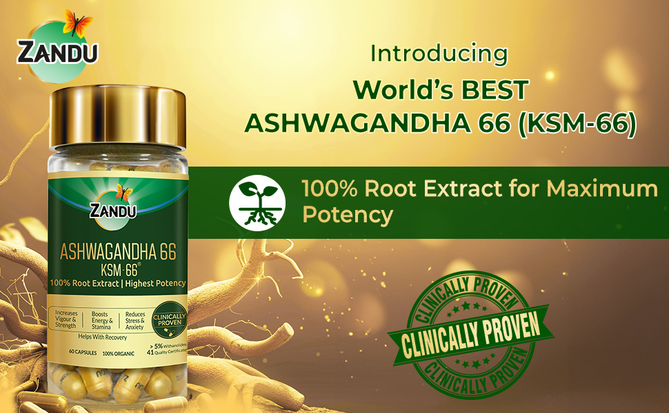 Zandu Ashwagandha KSM-66 (600 mg high dose formula) Tablets | Clinically Proven for 72% Decrease ...