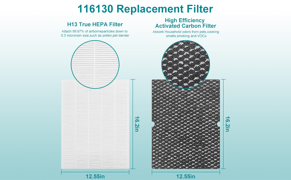 Amazon.com: 116130 True HEPA Replacement Filter, 5500-2 Air Puri-fier Replacement Filter ...