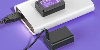 Mspalocell 2 Stück NP-FW50 Ersatz Akku 2250mAh mit USB Typ-C-Ladung,Kompatibel mit Sony ZV-E10 ...