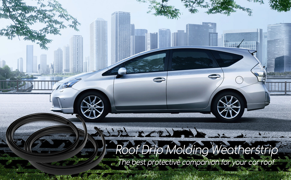 Amazon.com: HUQUZN Roof Drip Molding Weatherstrip Fits for Toyota Prius C 2012-2021, Left and ...