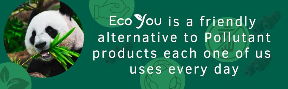 EcoYou | Biodegradable Floss Picks | 100 Count (Pack of 2) | Floss Sticks Dental | Bamboo Floss ...