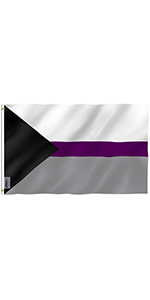 ANLEY Fly Breeze 3x5 Foot Bi Pride Flag - Vivid Color and UV Fade Resistant - Canvas Header and ...