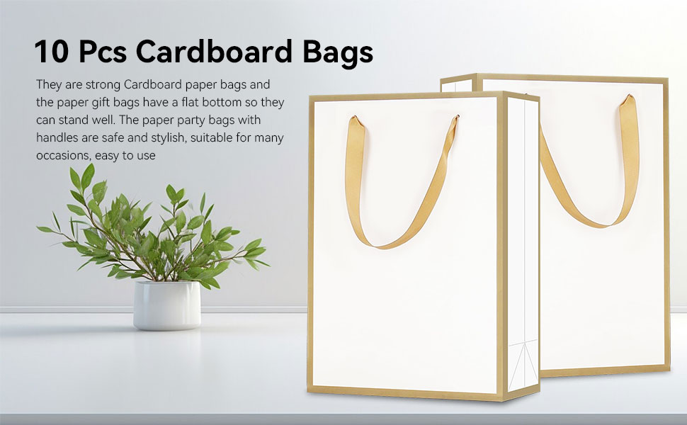 ECVV® 10Pcs Gift Bags,H22*L16*D8cm Party Favors Cardboard Bags with Ribbon Handle Shopping ...