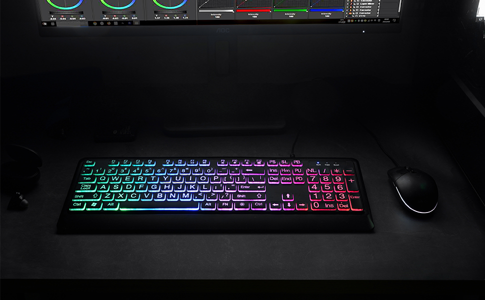 Amazon.com: Backlit Wired Keyboard for Windows, Large Print Computer ...