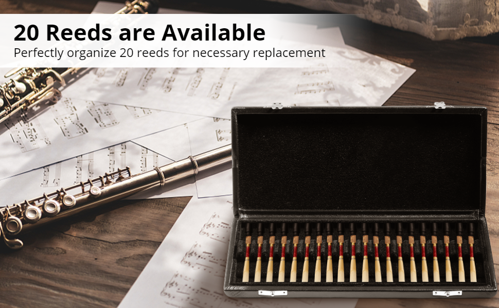 Amazon.com: joyibay Woodwinds Instrument Reed Vitalizer Case, Great ...