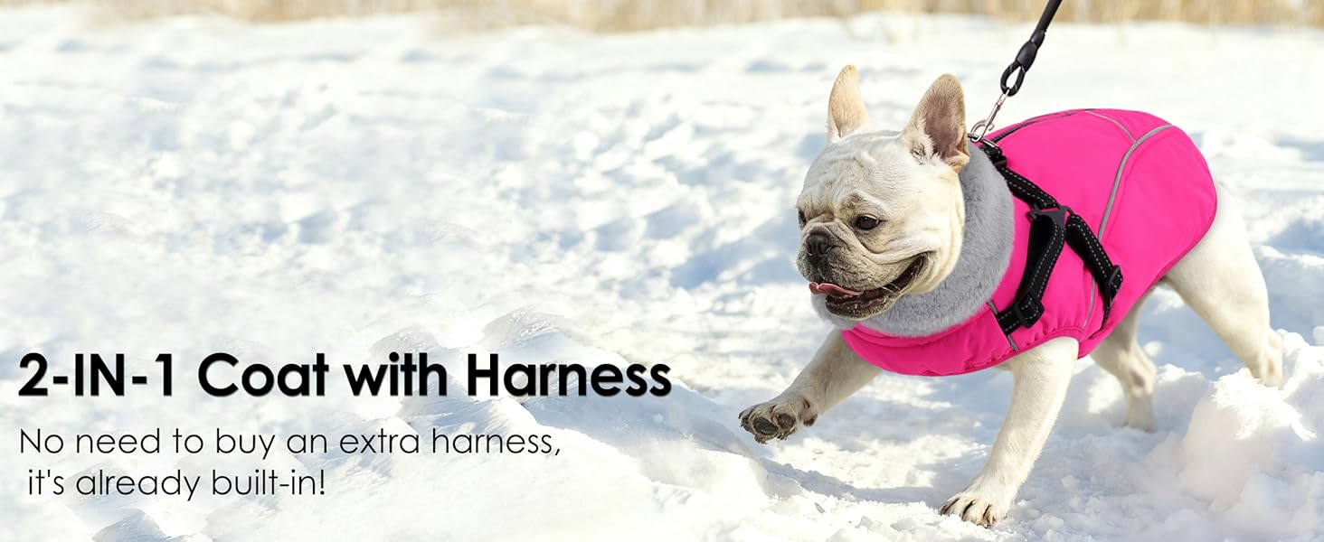 Amazon.com : AOFITEE Dog Coat, Waterproof Dog Jacket with Harness Built in, Dogs Coats for Lage ...