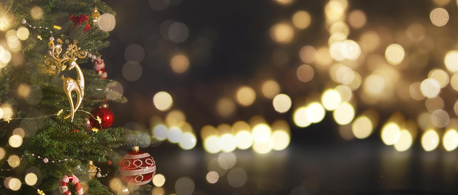 Amazon.com: NIDISETPJAS 2Pcs Enchanted Willow Vine Lights with Remote, Christmas Swags ...