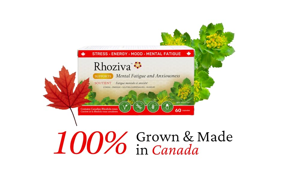 Rhoziva Rhodiola Rosea Supplement. Supports Mental Energy, Focus, & Memory. Stress relief ...