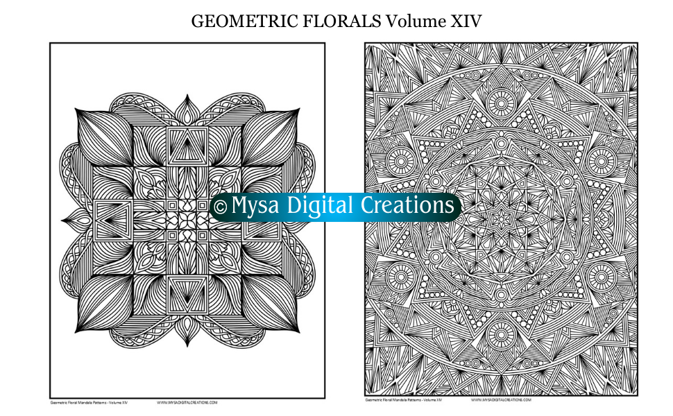 Amazon.com: Intricate Patterns : Geometric Florals - A Mandala Coloring ...