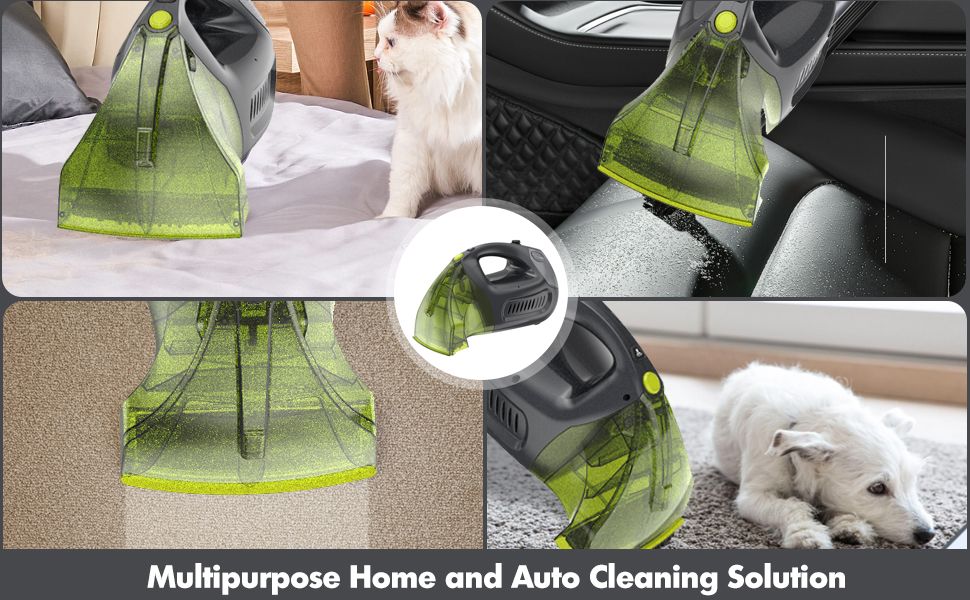 Amazon.com: Upholstery and Carpet Vacuum Cleaner, Carevac Pet Stain ...