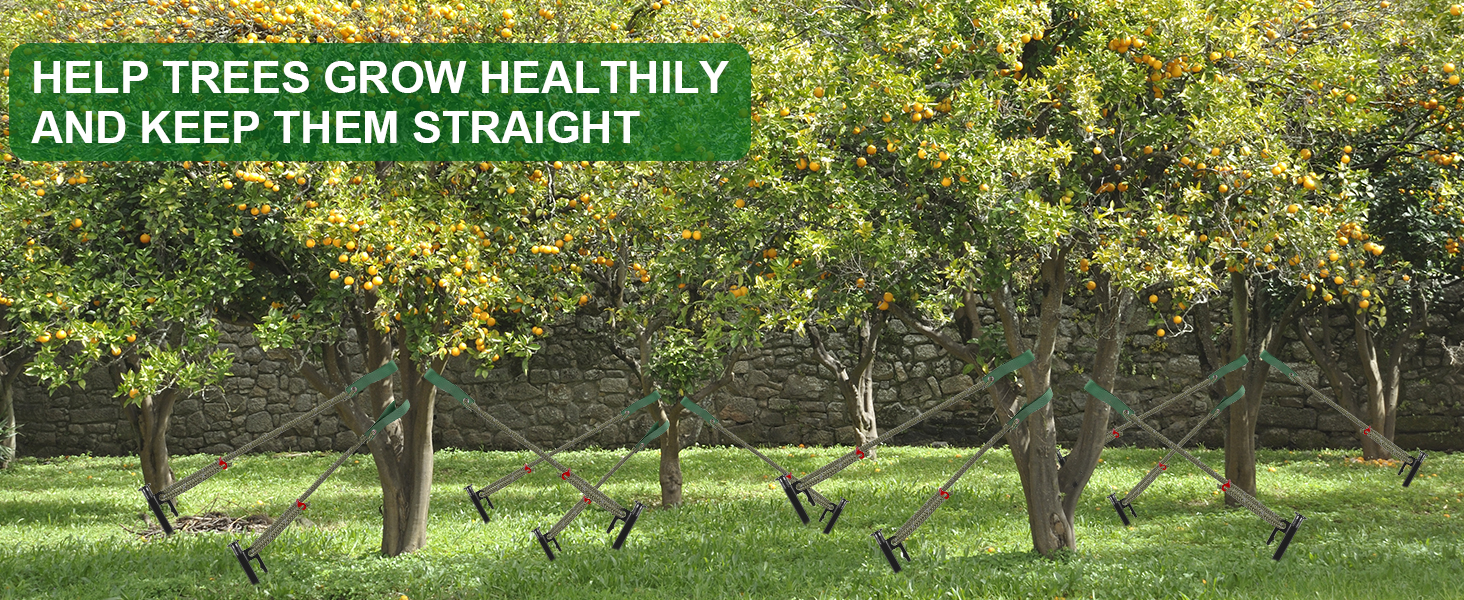 Amazon.com : 3 Pack Tree Stakes and Supports 15.7 Inch Heavy Duty Tree ...