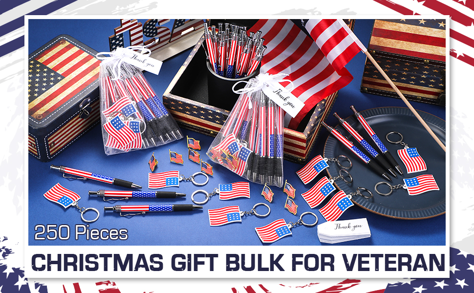 Amazon.com : Qilery 250 Pcs Veterans Day Style American Flag Lapel Pins ...