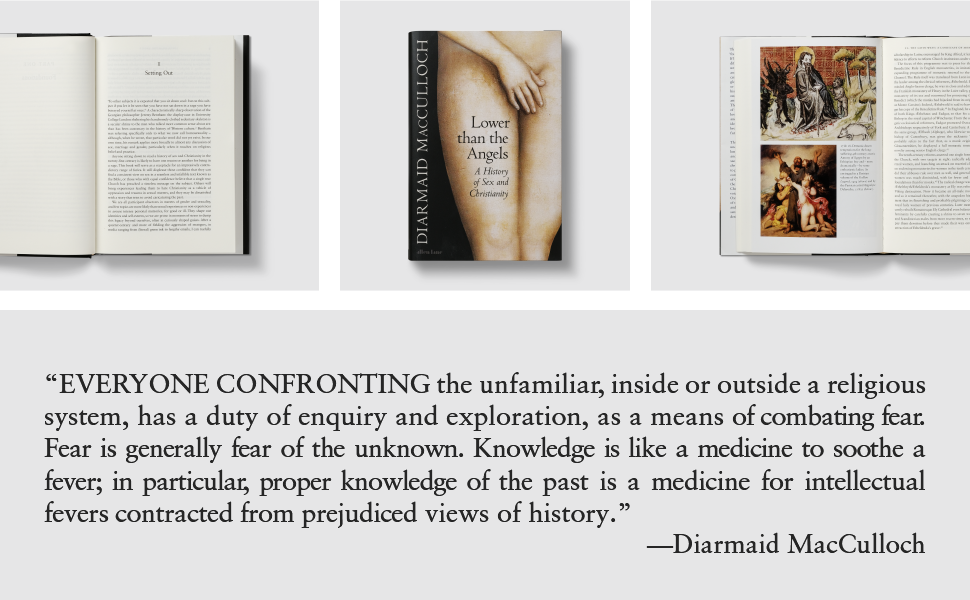 Lower than the Angels: A History of Sex and Christianity: Amazon.co.uk: MacCulloch, Diarmaid ...