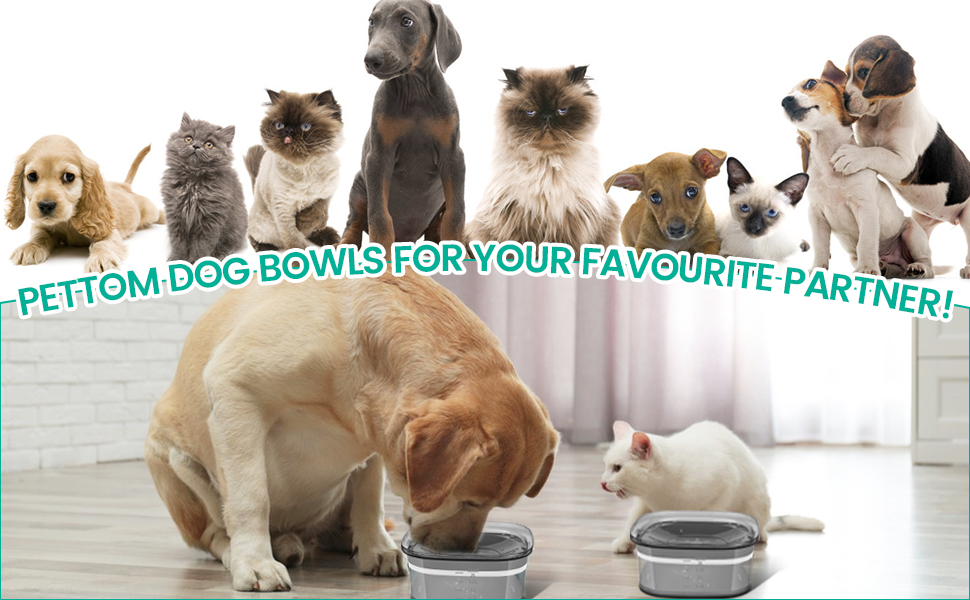 PETTOM Spill Free Dog Water Bowl, No Spill Dog Floating Water Bowl, No Mess Dog Water Bowl Slow ...