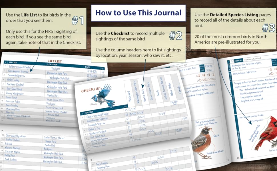 Bird Watching Journal with Life List & Checklist: Improve Your Observation Skills With This ...