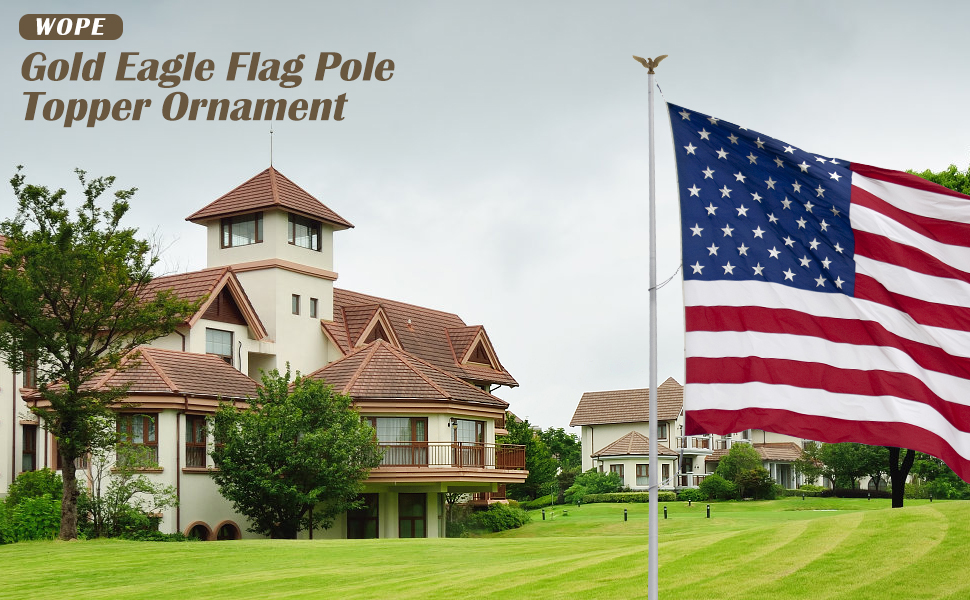 Amazon.com : Yardenfun 2Pcs Eagle Flag Ornamental Eagle Finial for ...