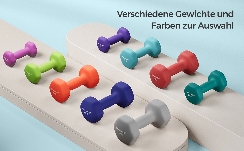 SONGMICS Hanteln, 2er Set, 2 x 2 kg, Hantelset, Kurzhanteln, Hexagon, Neopren-Beschichtung ...