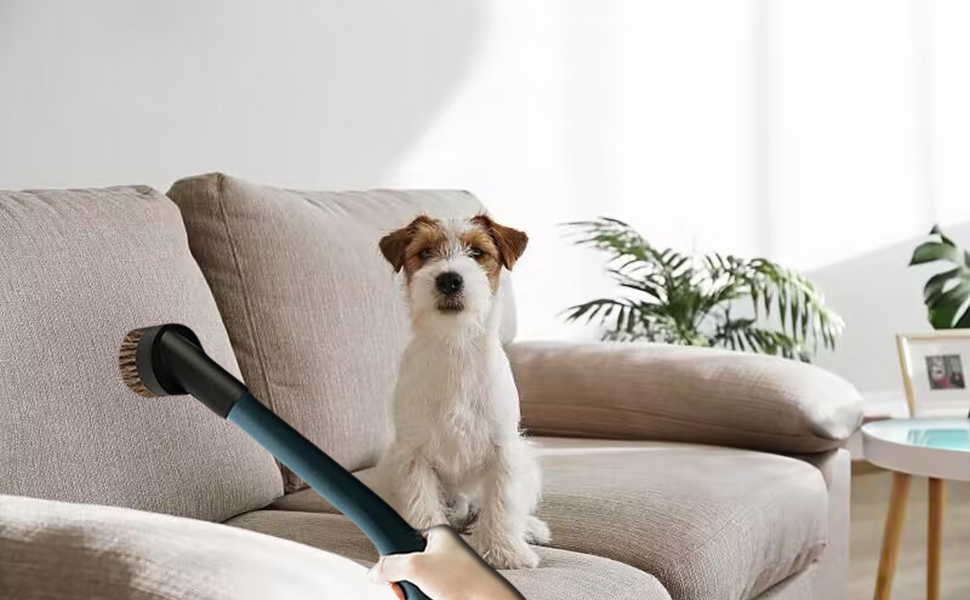 ANBOO 3 Pack 32mm Horse Hair Round Brush for Henry Hetty Hoover ...